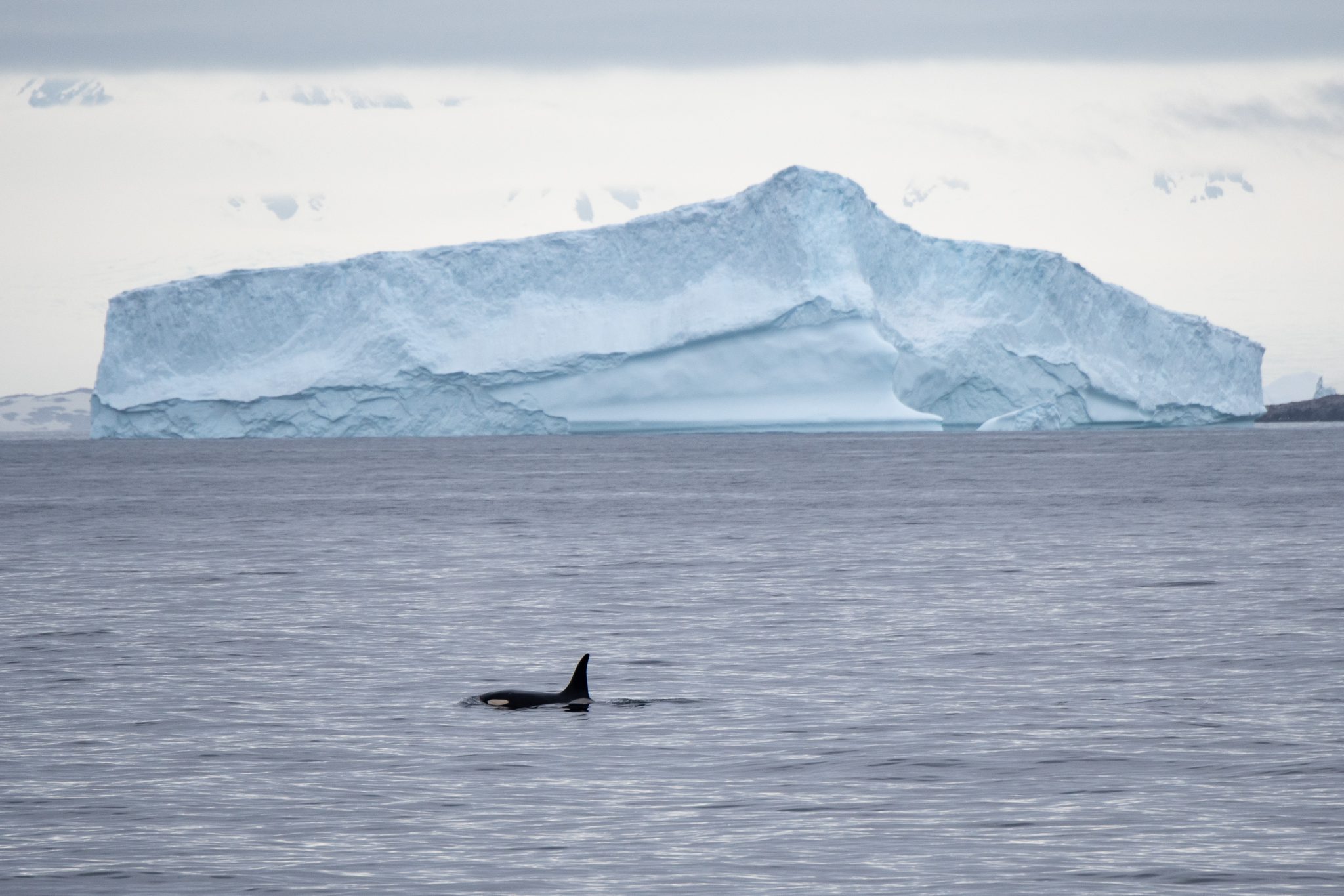 Antarctic Express: Fly the Drake – Polar Cruises