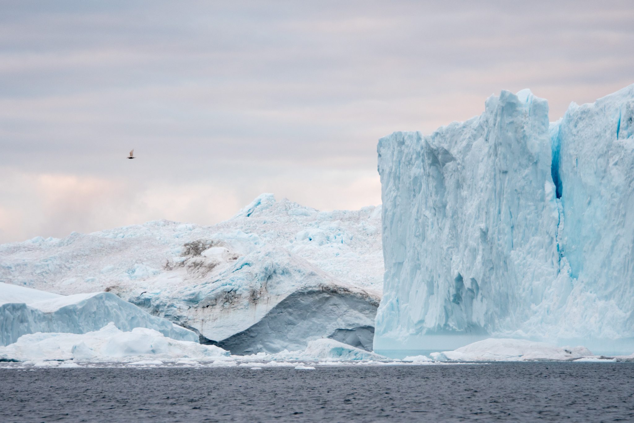 Iceland and Greenland: Edge of the Arctic – Polar Cruises