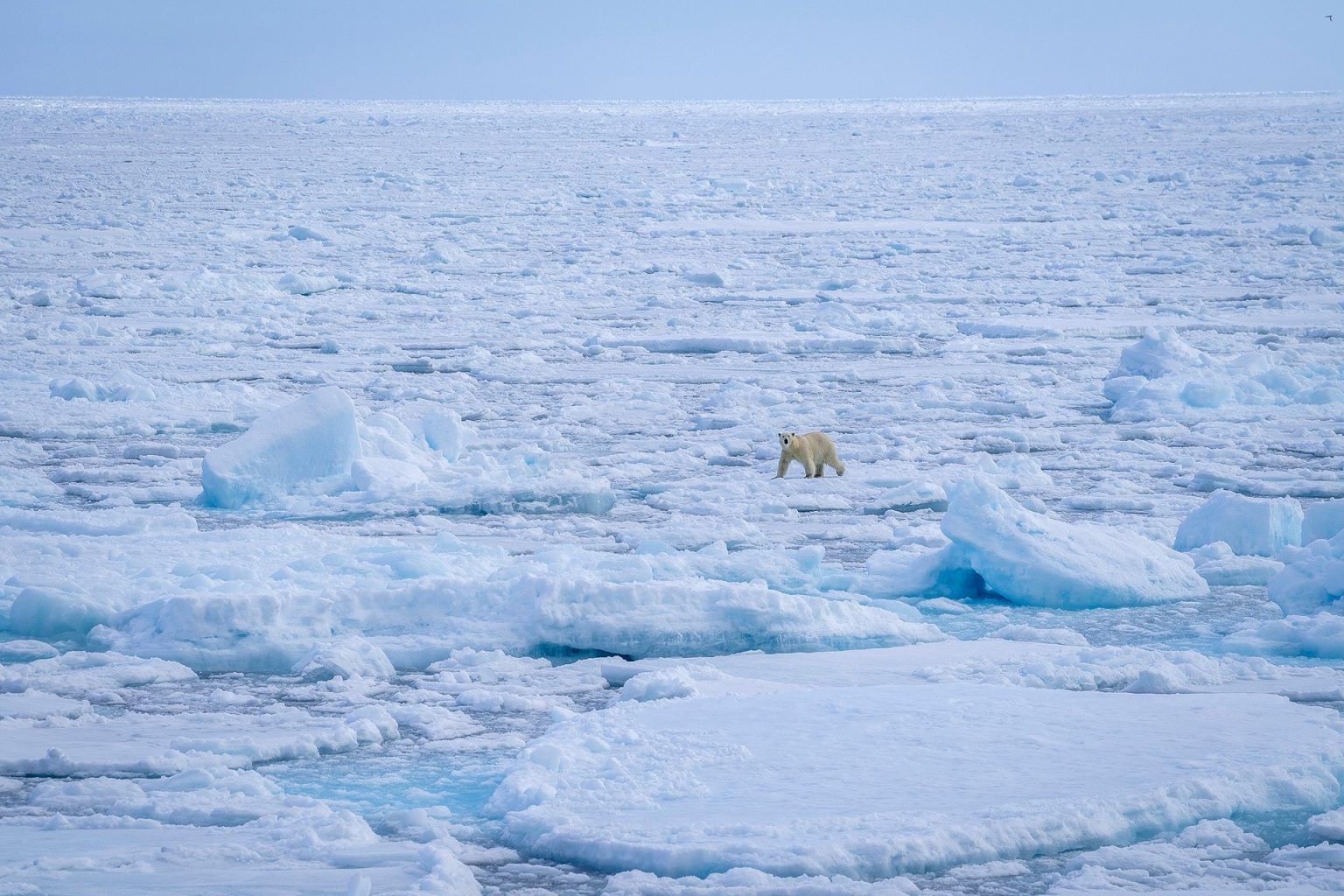 West Svalbard & Polar Ice Edge | Polar Cruises